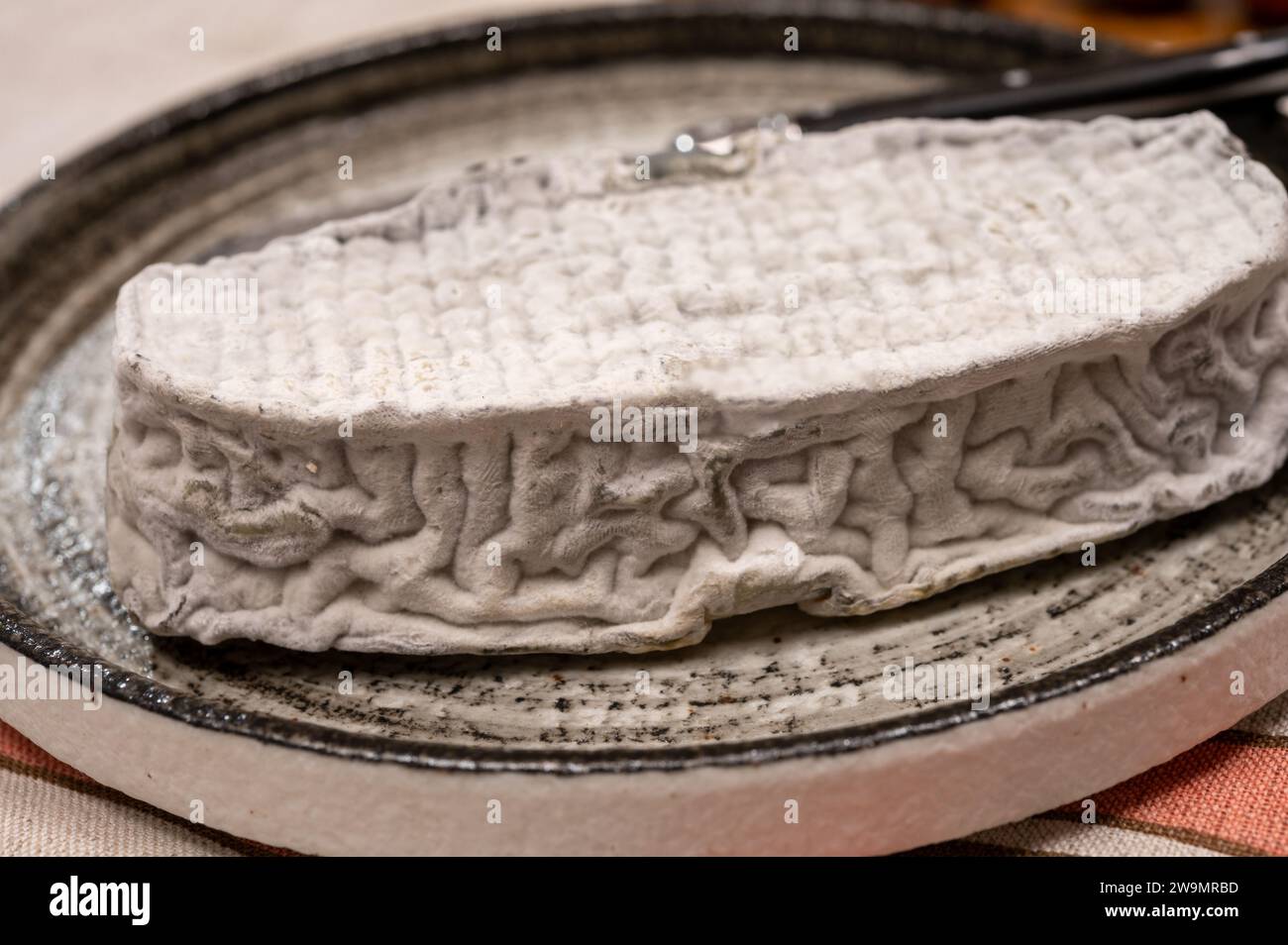 Cheese collection, French fresh soft goat cheese with black mold from ...