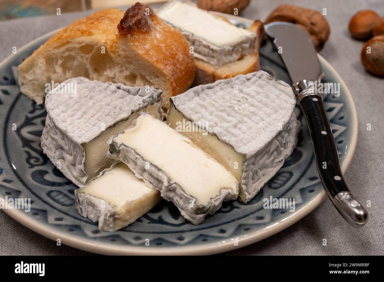 Cheese collection, French fresh soft goat cheese with black mold from ...