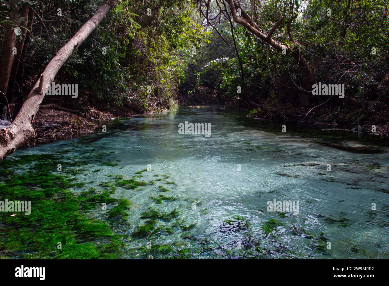 Yankari nigeria hi-res stock photography and images - Alamy