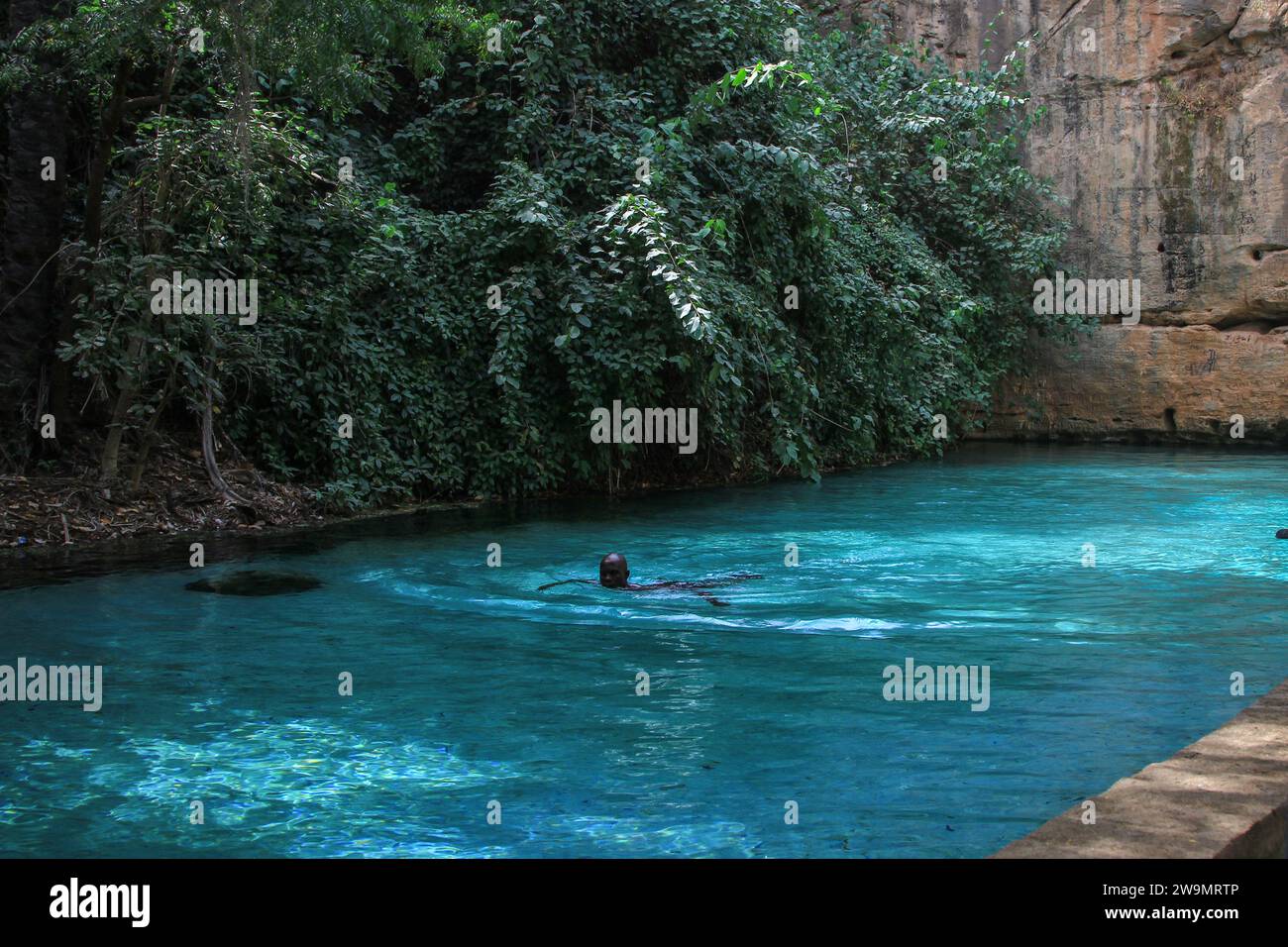 Yankari Game Reserve Stock Photo - Alamy