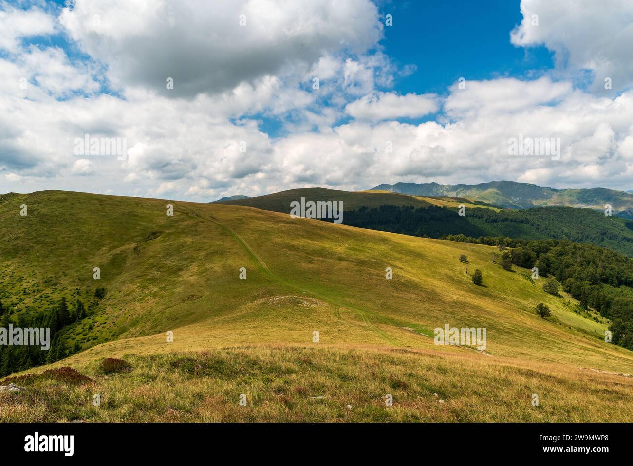 Beautiful Valcan mountains scenery with meadows, forest and highest ...