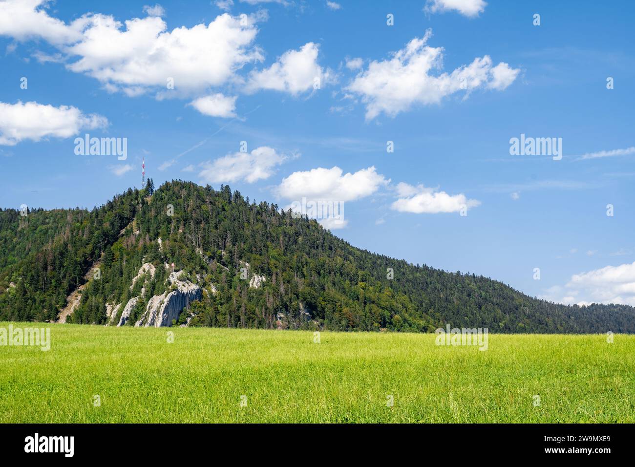 Swiss countryside landscape Stock Photo - Alamy