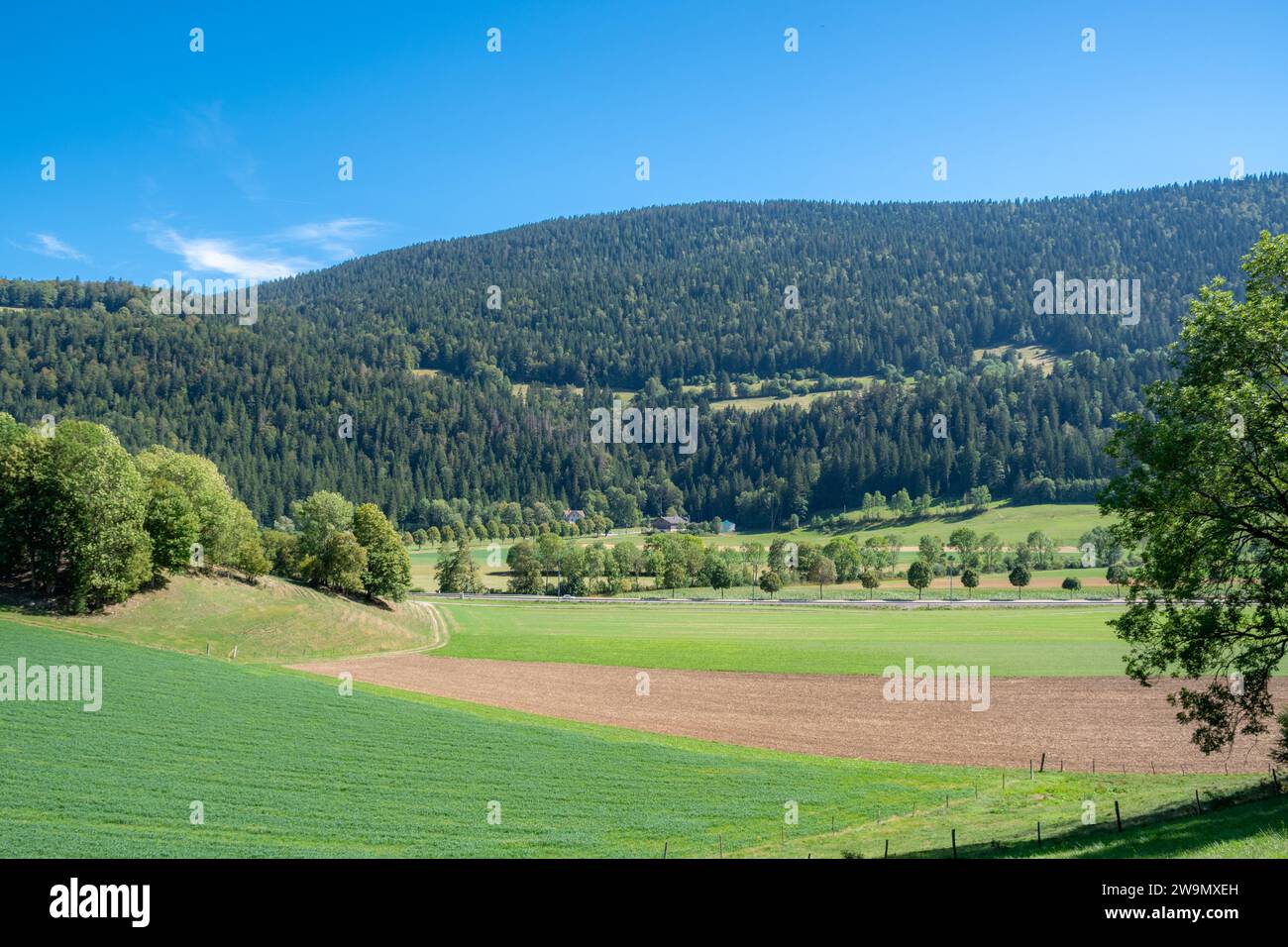 Serene Countryside Landscape Stock Photo - Alamy