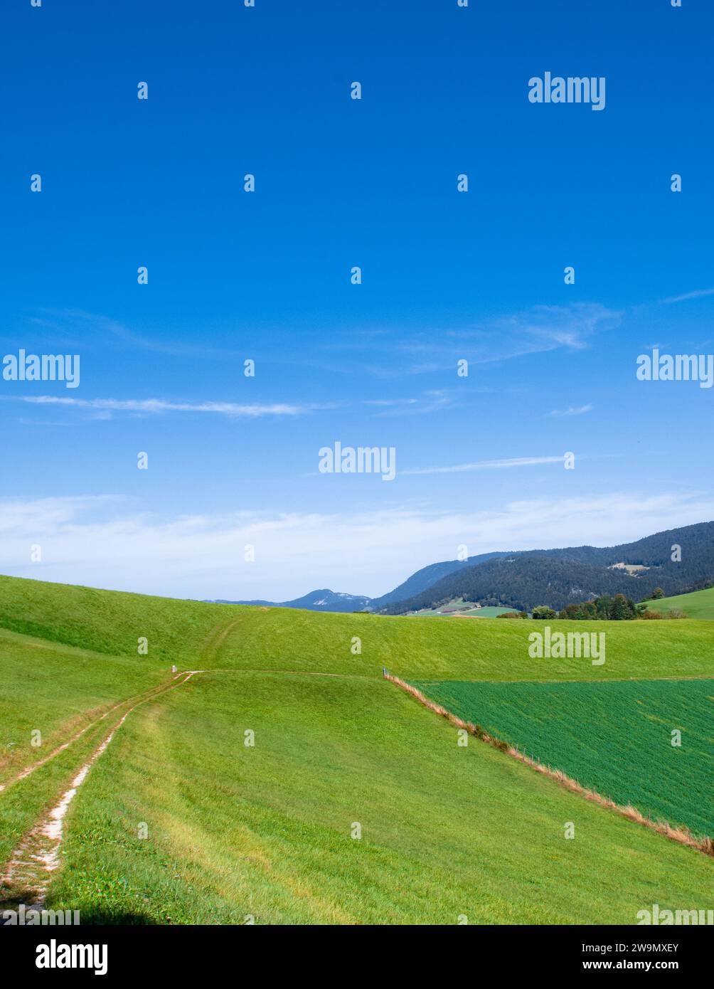 Serene Countryside Landscape Stock Photo - Alamy