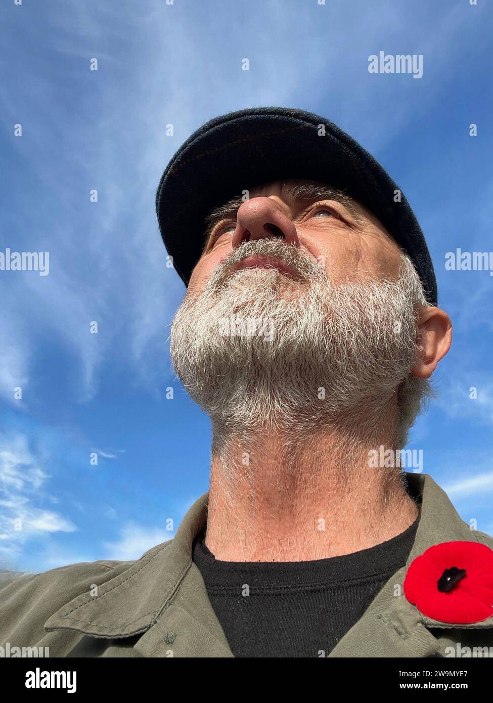 Portrait of a man wearing a remembrance day poppy Stock Photo - Alamy