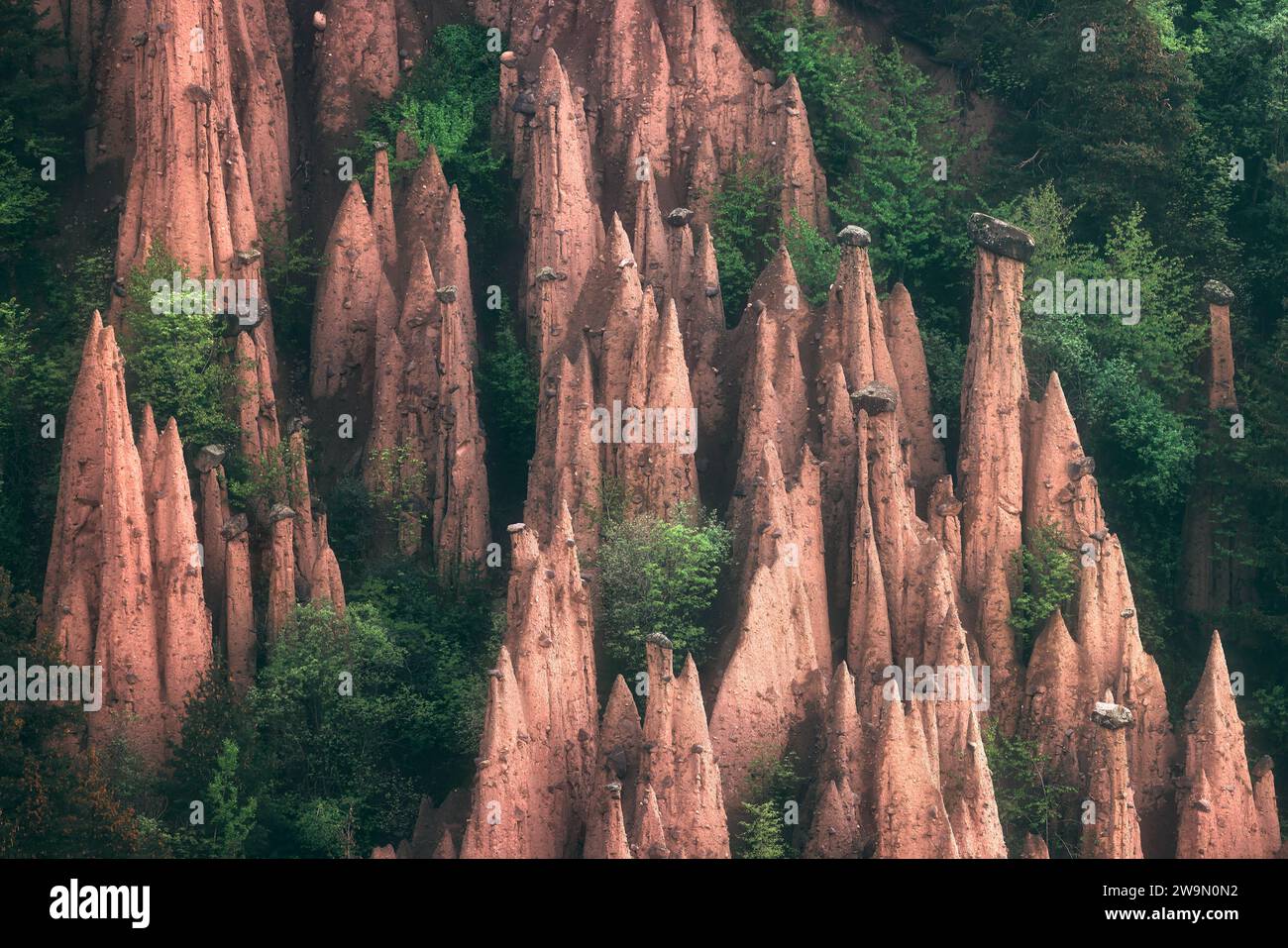Aerial view of Earth pyramids of Ritten, Bolzano, South Tyrol, Italy ...