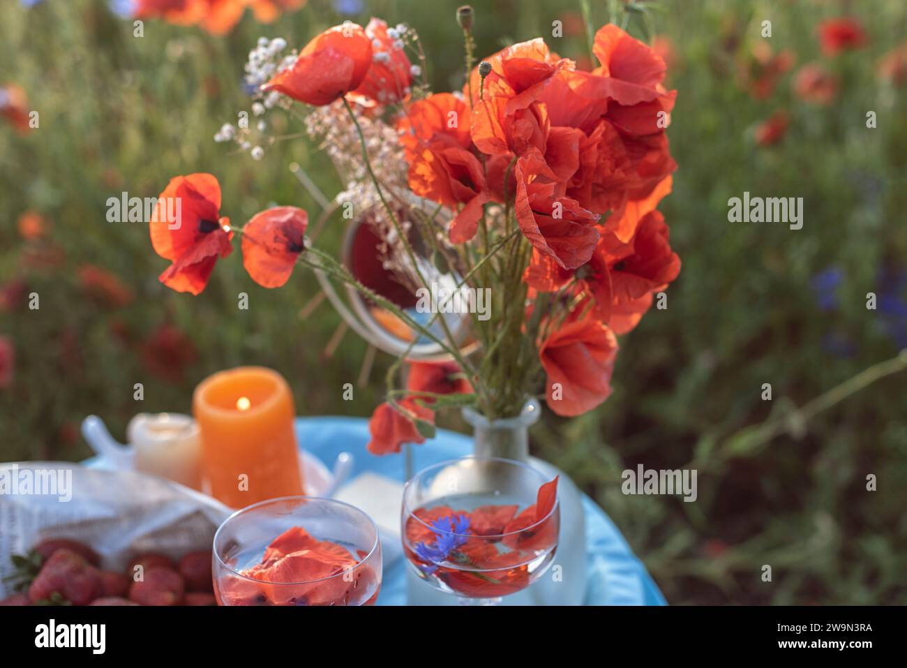 Wild landscapes in west Europe Stock Photo - Alamy