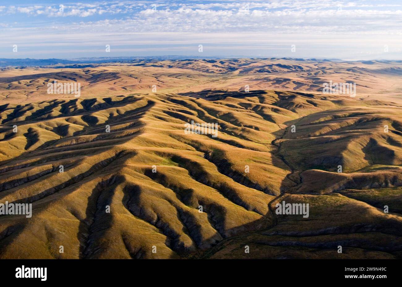 Aerial of steppe grasslands, Mongollia Stock Photo - Alamy