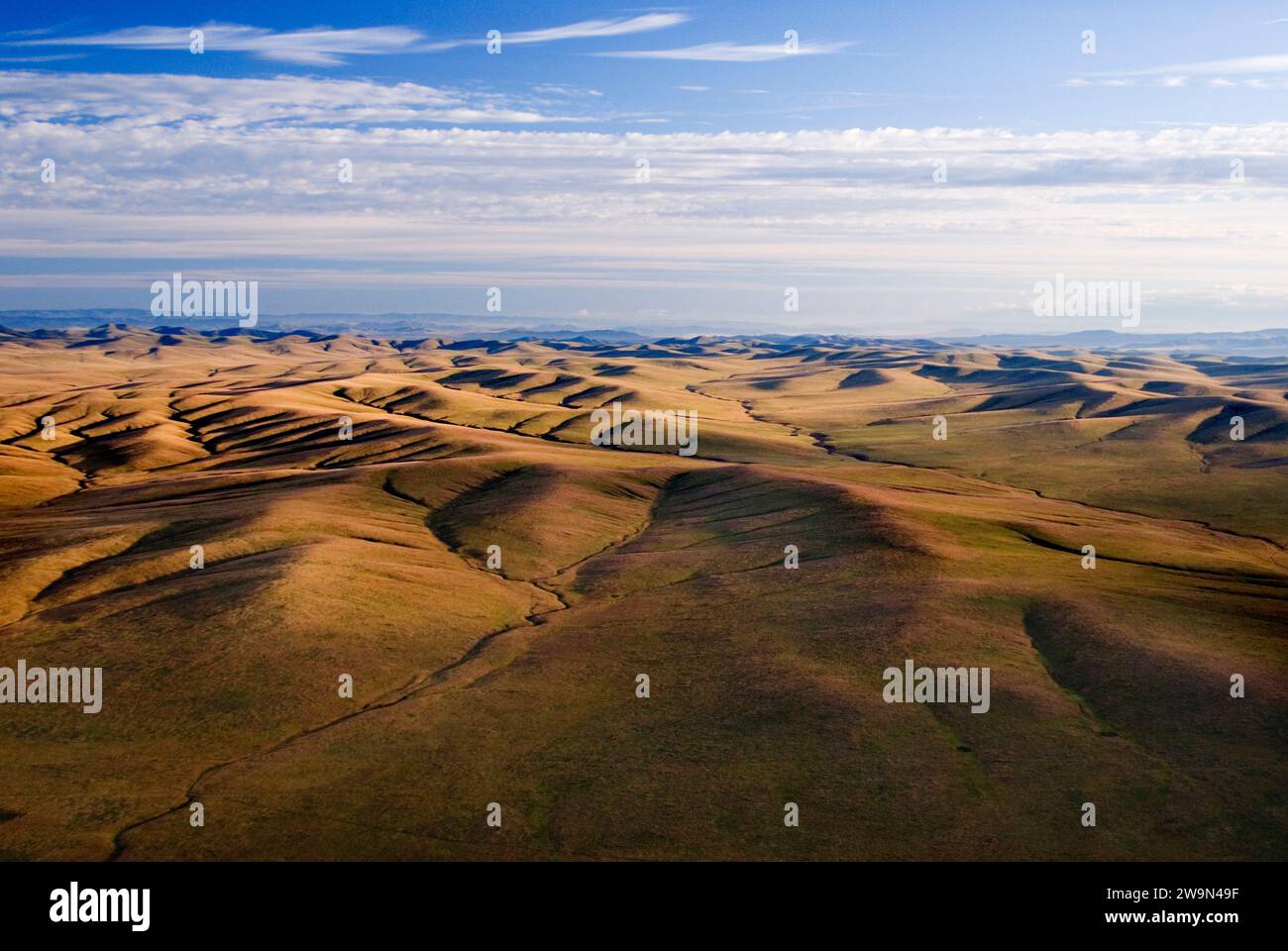 Aerial of steppe grasslands, Mongollia Stock Photo - Alamy