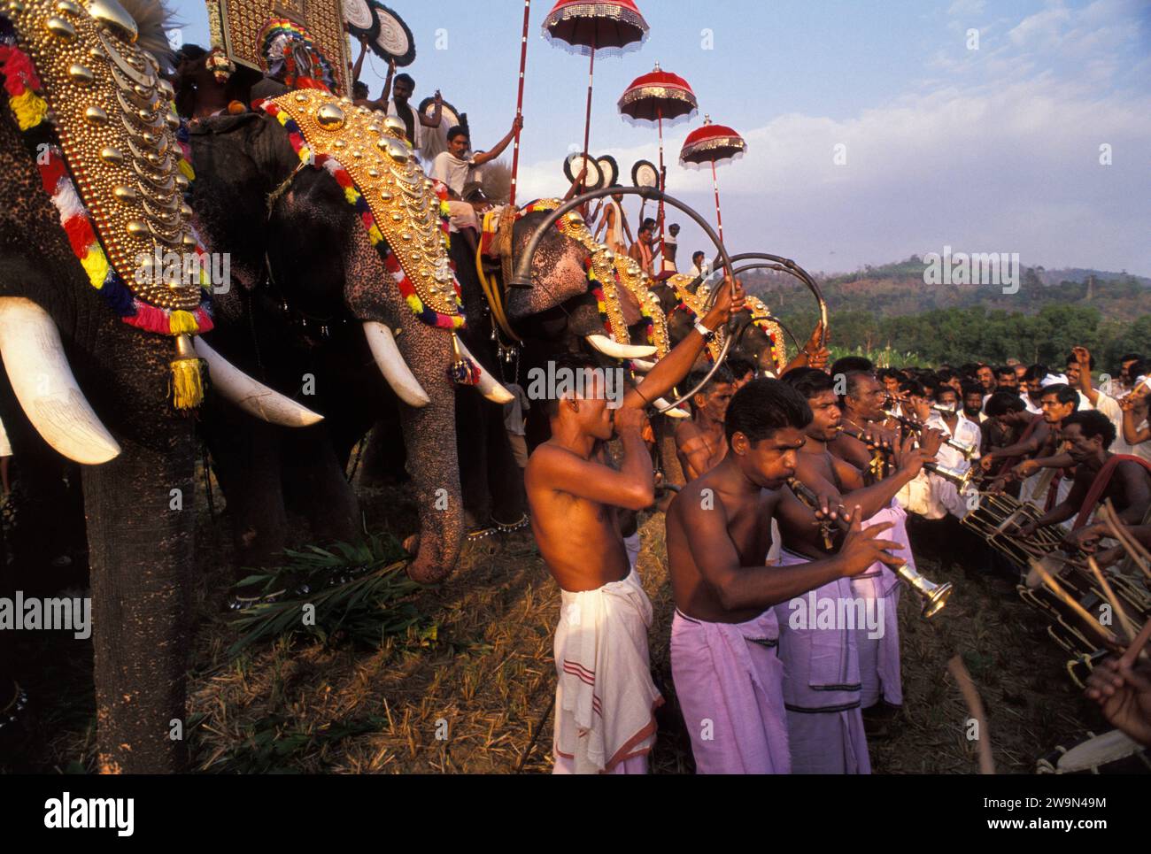 Elephant culture of India Stock Photo - Alamy
