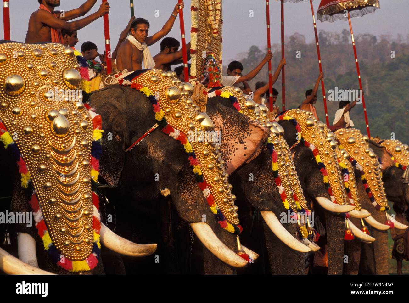 Elephant culture of India Stock Photo - Alamy