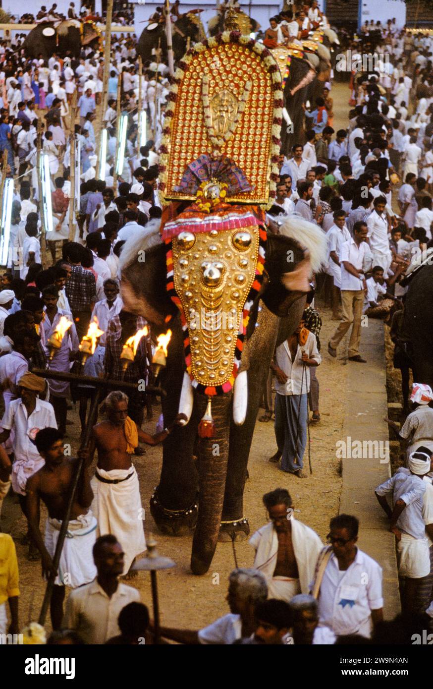 Elephant culture hi-res stock photography and images - Alamy