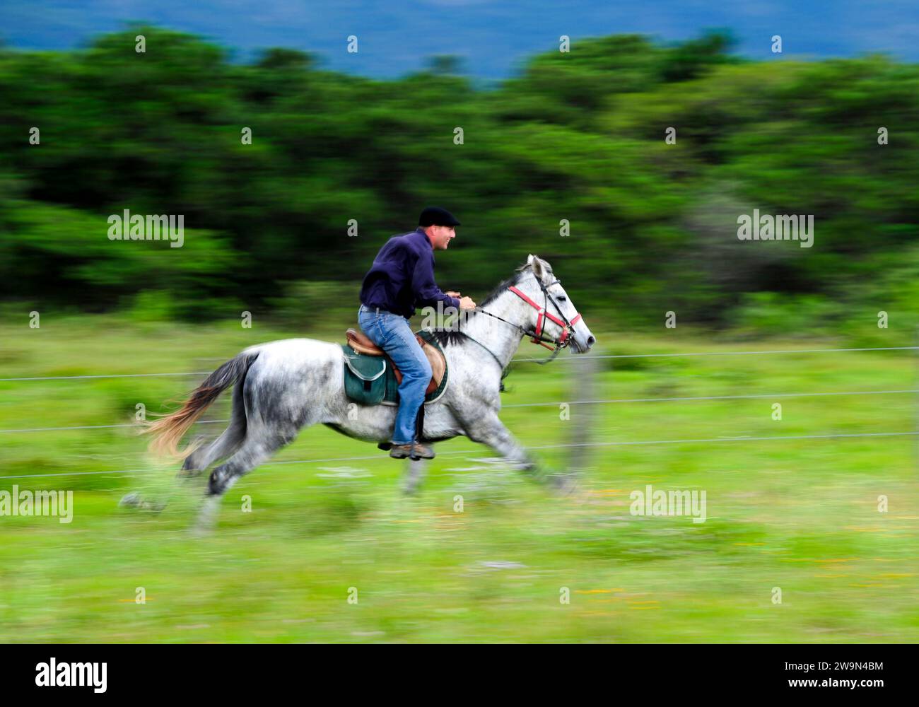 A man galloping his horse through the Chiapas countryside, Mexico Stock ...