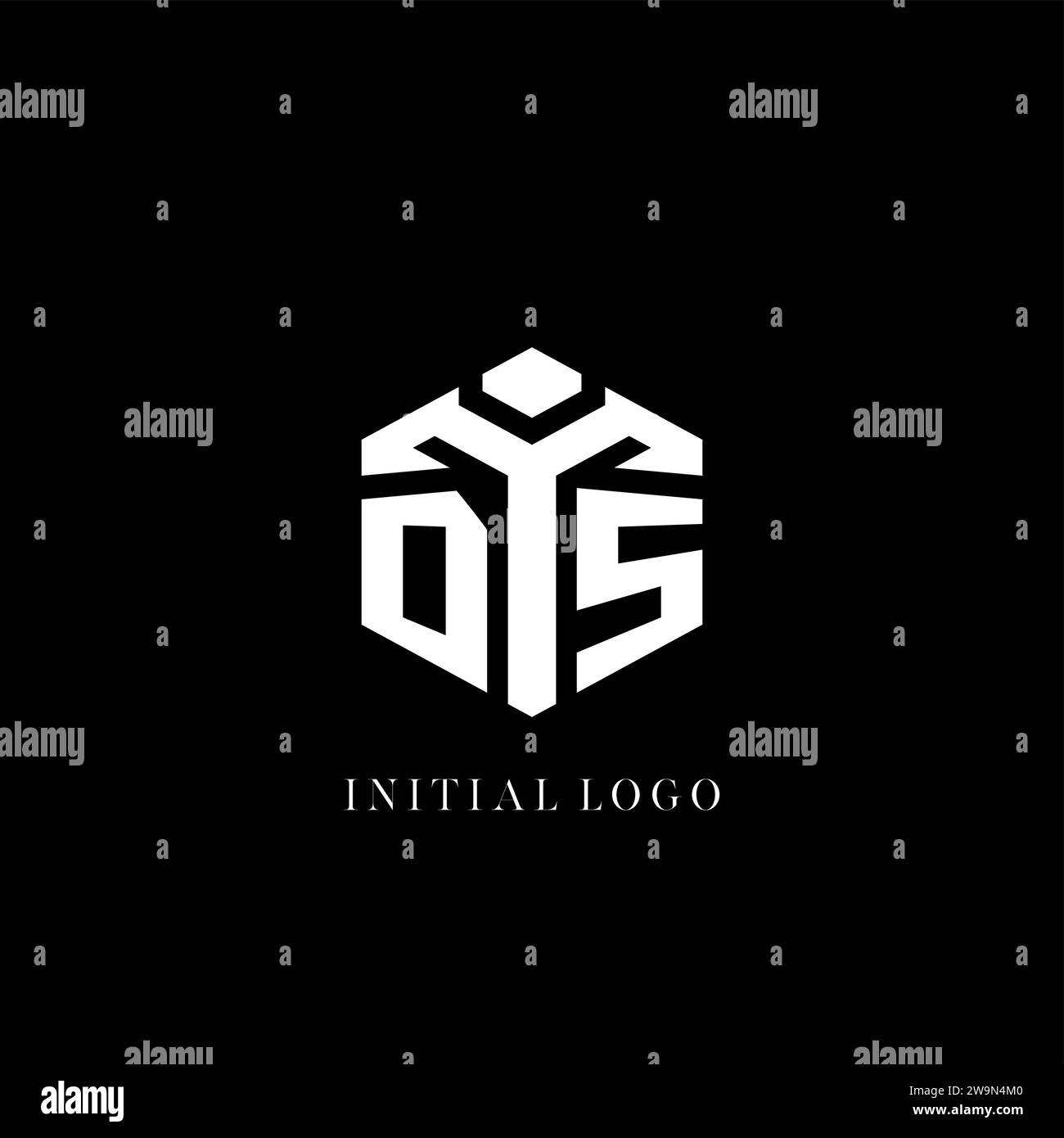 Initial DS logo hexagon shape geometric style vector graphic Stock ...