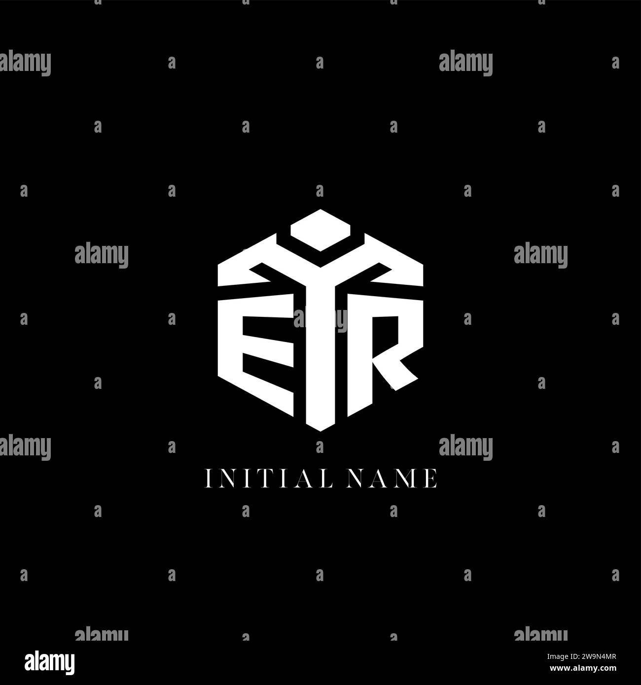 Initial ER logo hexagon shape geometric style vector graphic Stock ...