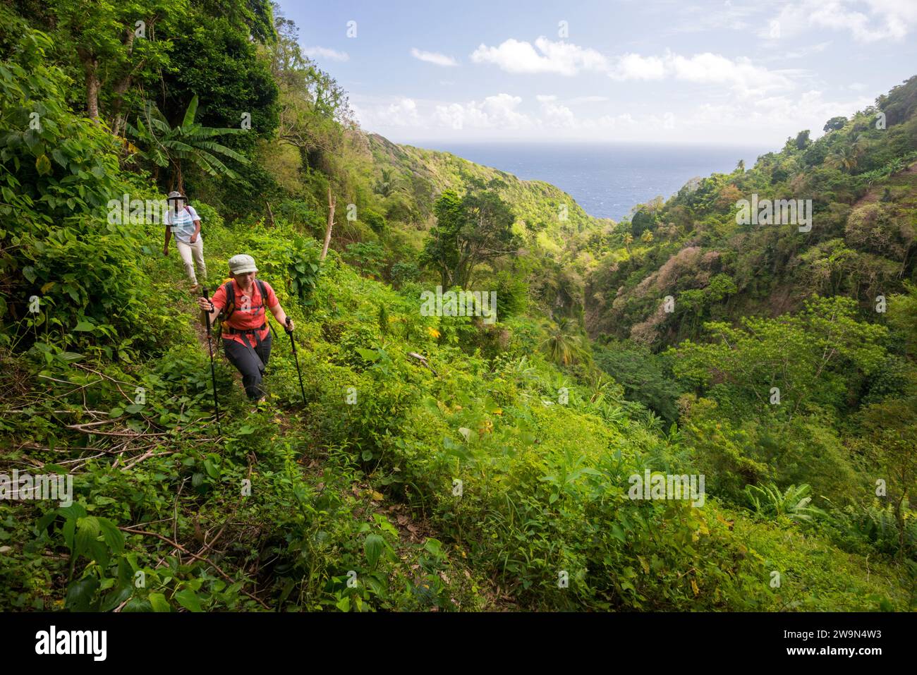 A backpacker and her guide hike along Segment 13 of the Waitukubuli ...
