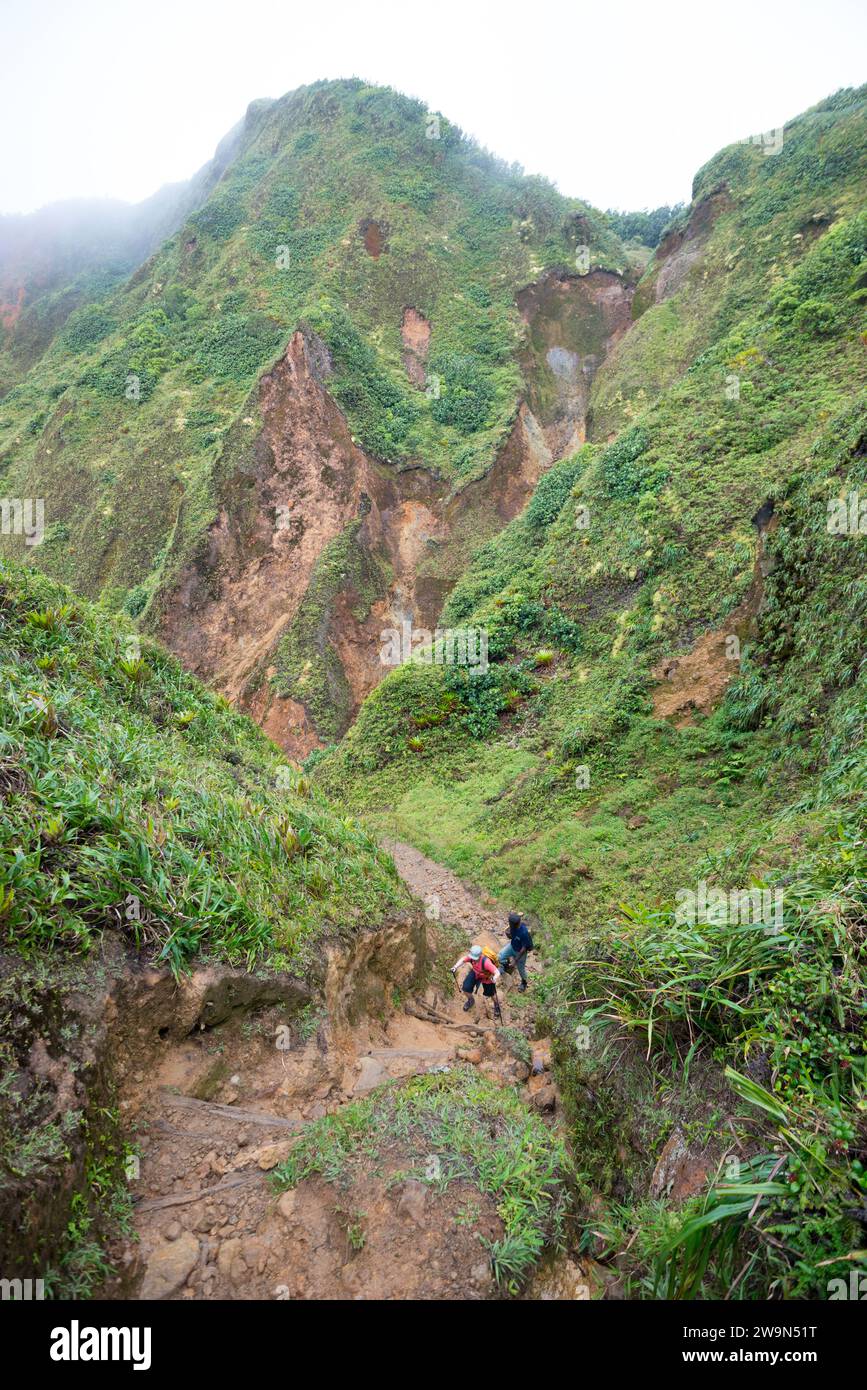 A woman and her guide hike the trail to Boiling Lake in the Morne Trois ...