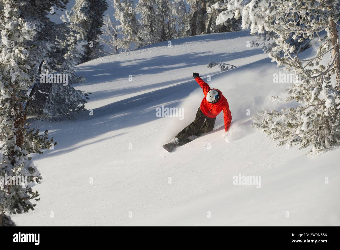 A snowboarder rides in powder snow on a beautiful day at Heavenly ...