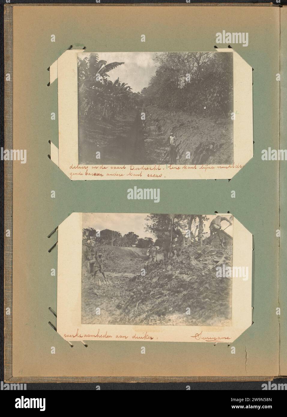 Banana trees and cocoa trees on Plantage Dordrecht, Anonymous, c. 1912 ...
