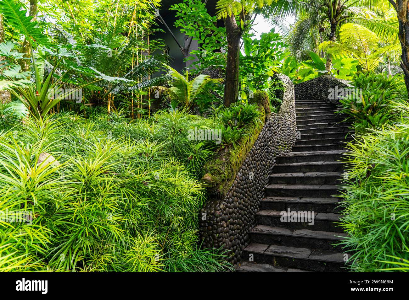 outdoor stairs at luxury rainforest resort in Bali Stock Photo - Alamy