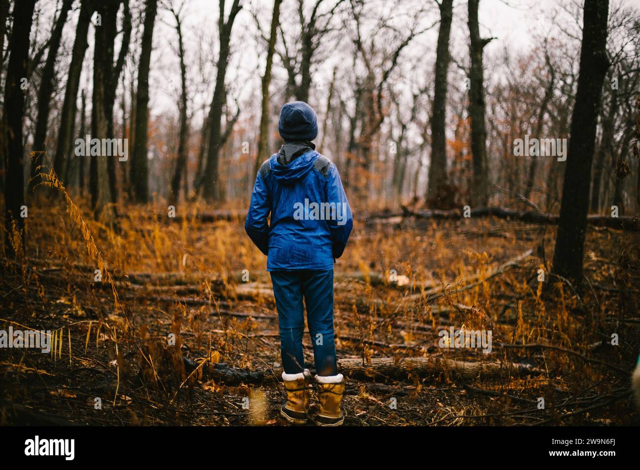 Tween boy stands in rain sodden forest in fall colors Stock Photo - Alamy