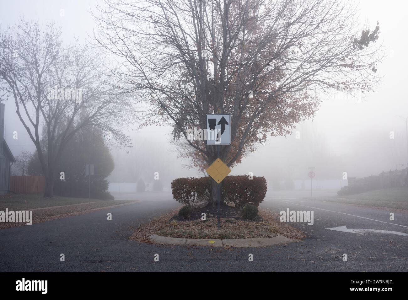 Neighborhood street signs on a median surrounded by fog in the fall ...