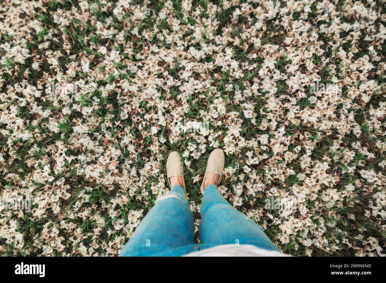 Girl standing in Spring blooms on the ground Stock Photo - Alamy