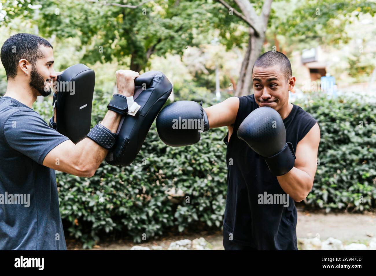 two friends playing with boxing gloves fighting Stock Photo - Alamy