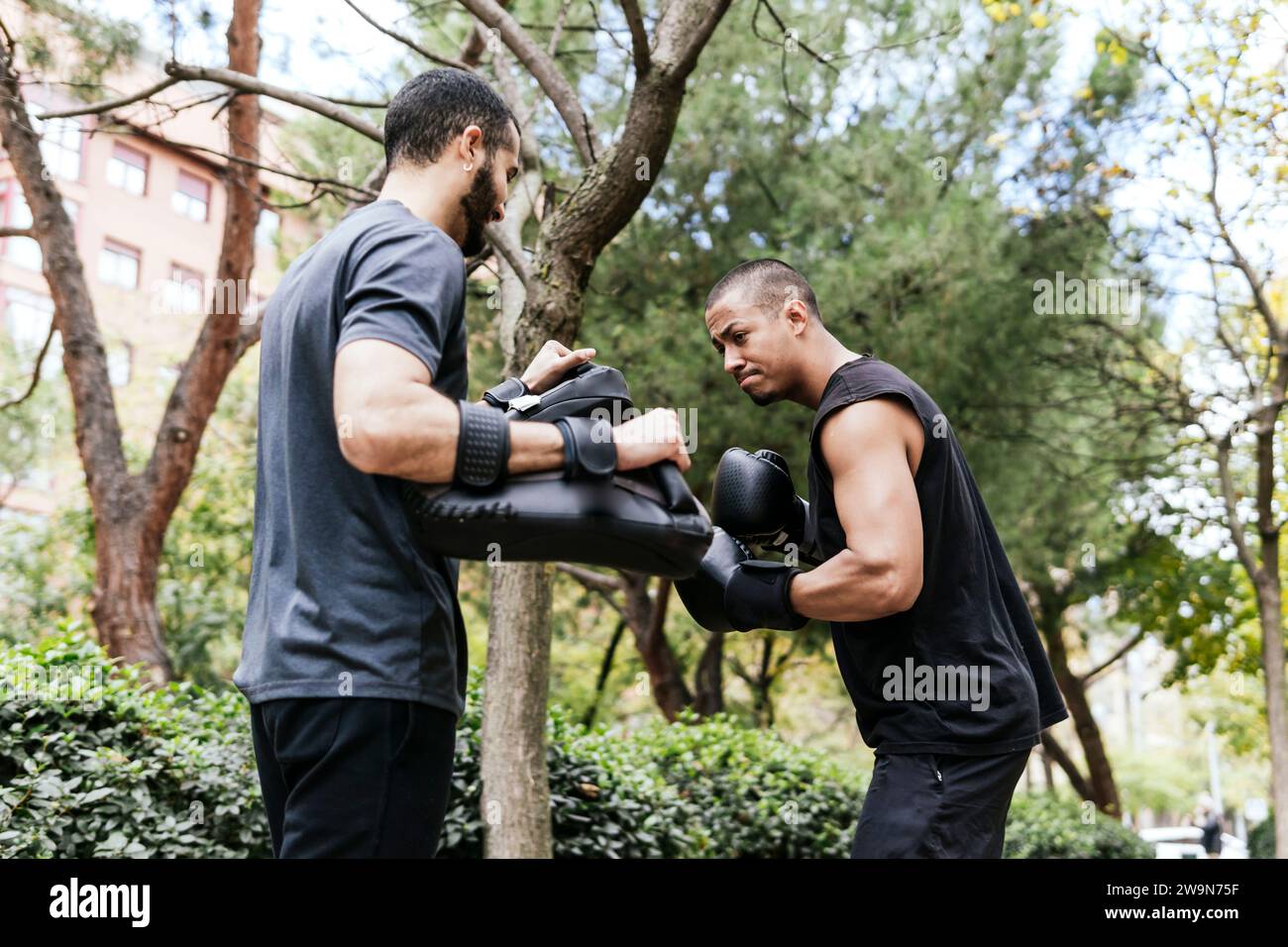 two multiracial friends practicing wrestling in a park Stock Photo - Alamy