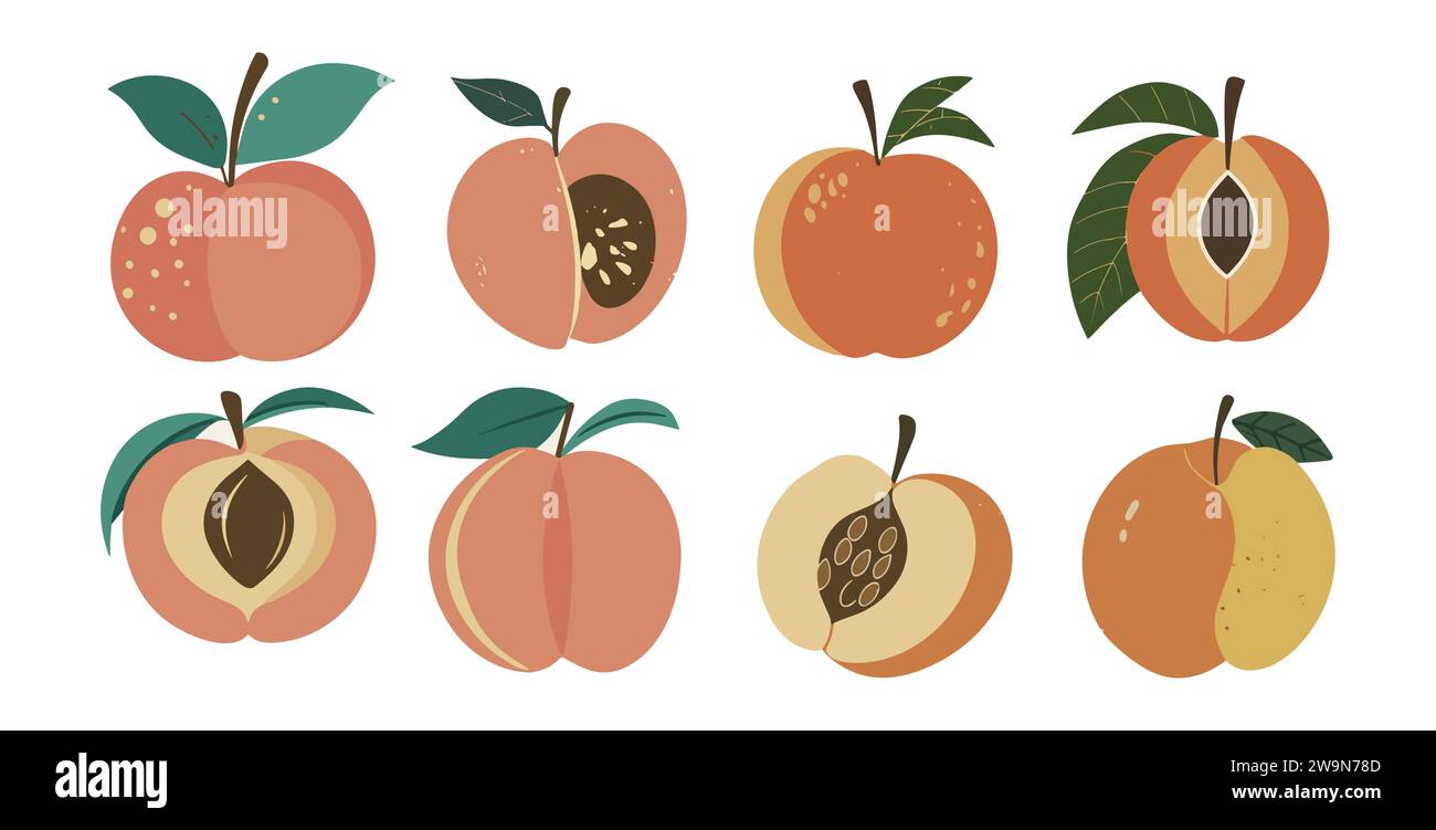 Hand drawn abstract peach fruits vector set Stock Vector Image & Art - Alamy