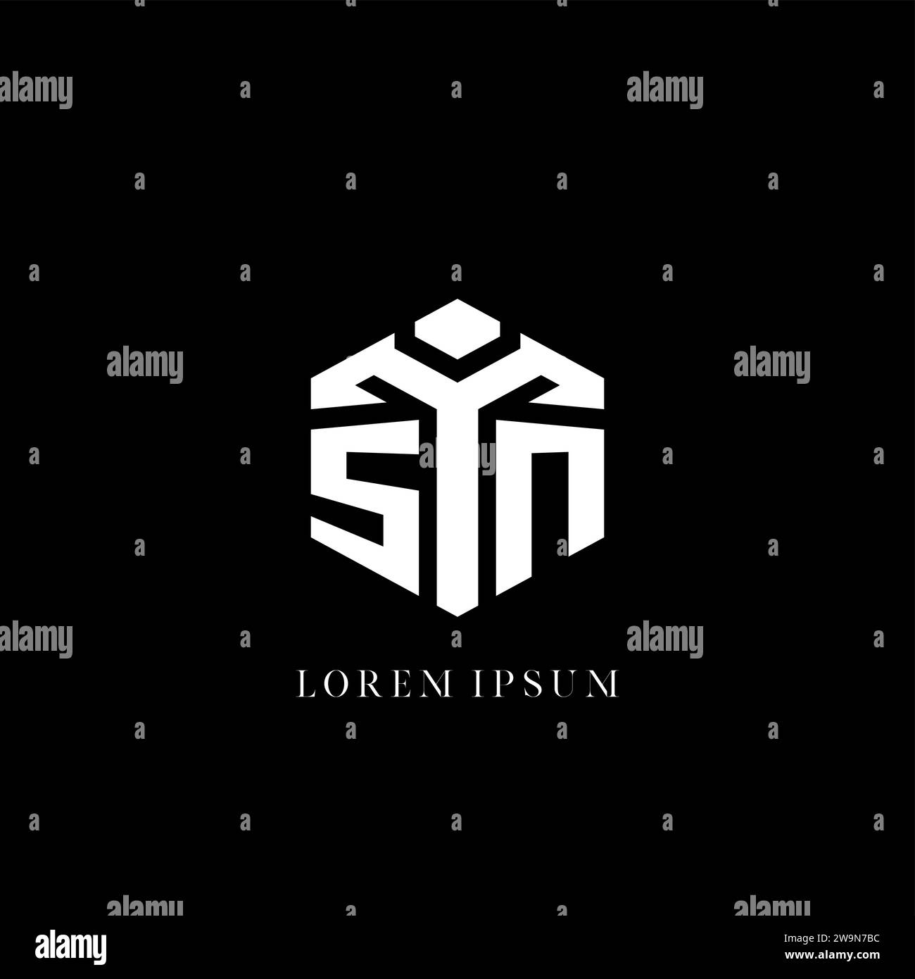Initial SN logo hexagon shape geometric style vector graphic Stock ...