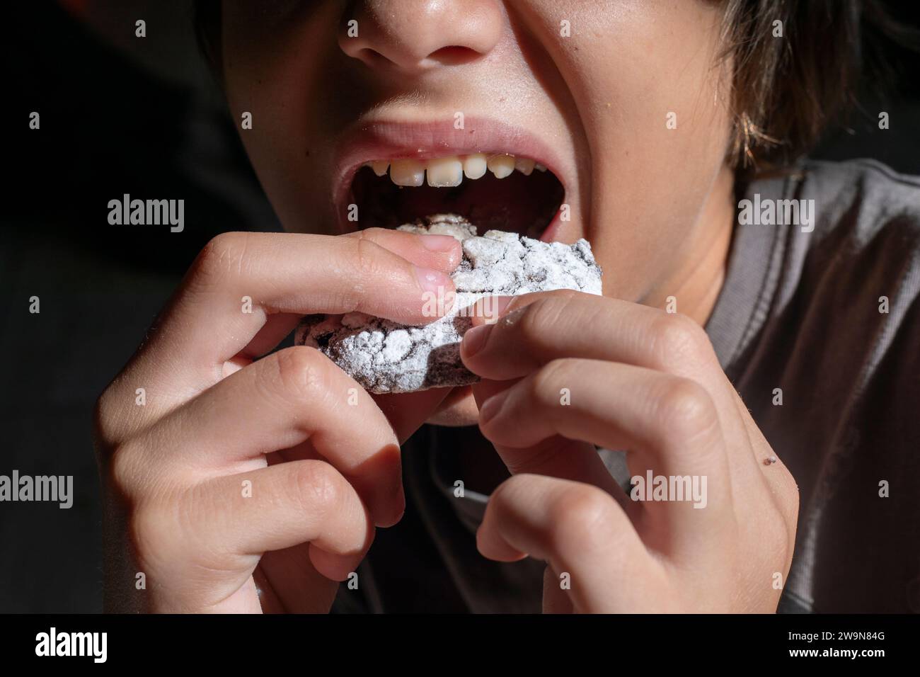 boy bites off a piece of chocolate cookie sprinkled with sugar with his ...