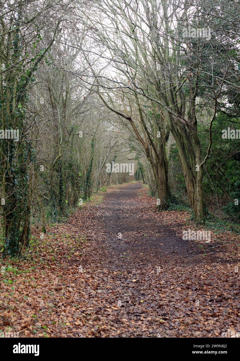 Leapgate old railway line running from Stourport to Hartlebury in ...