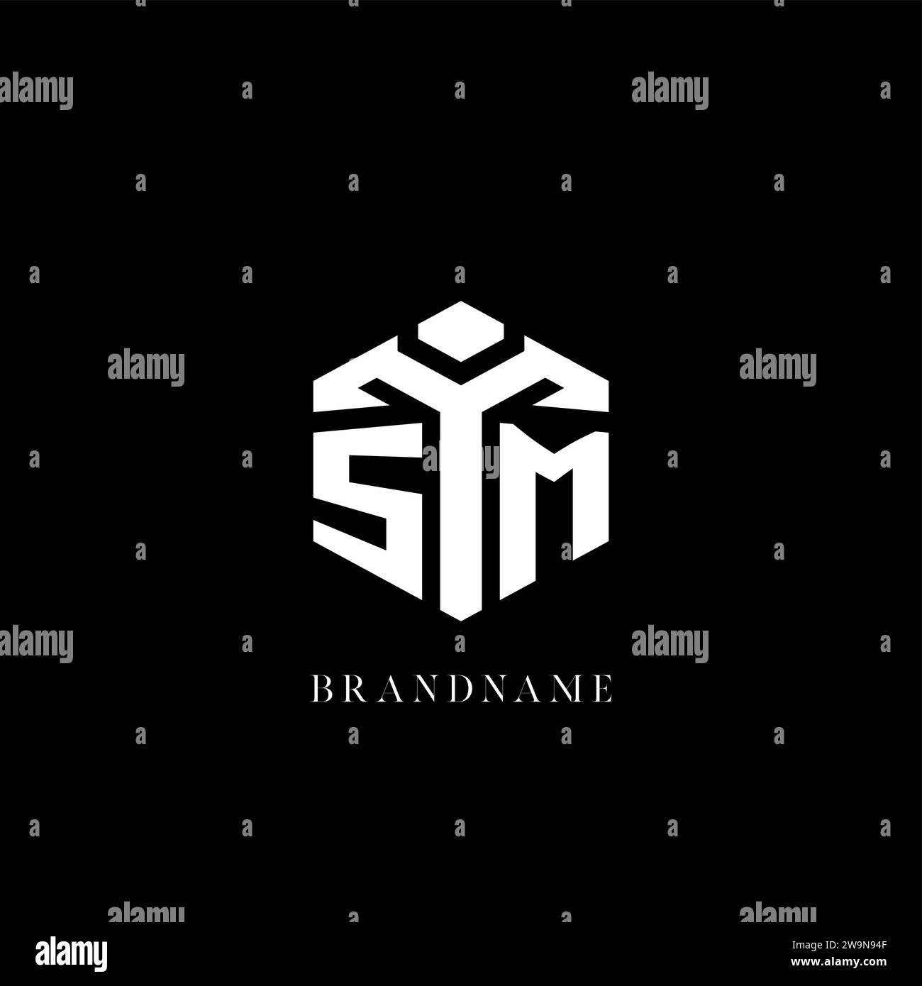 Initial SM logo hexagon shape geometric style vector graphic Stock ...