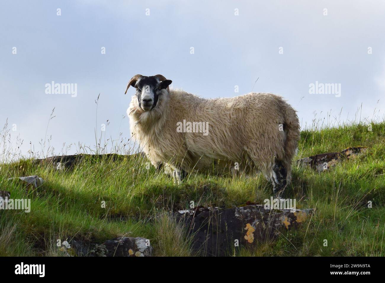 Apon hi-res stock photography and images - Alamy
