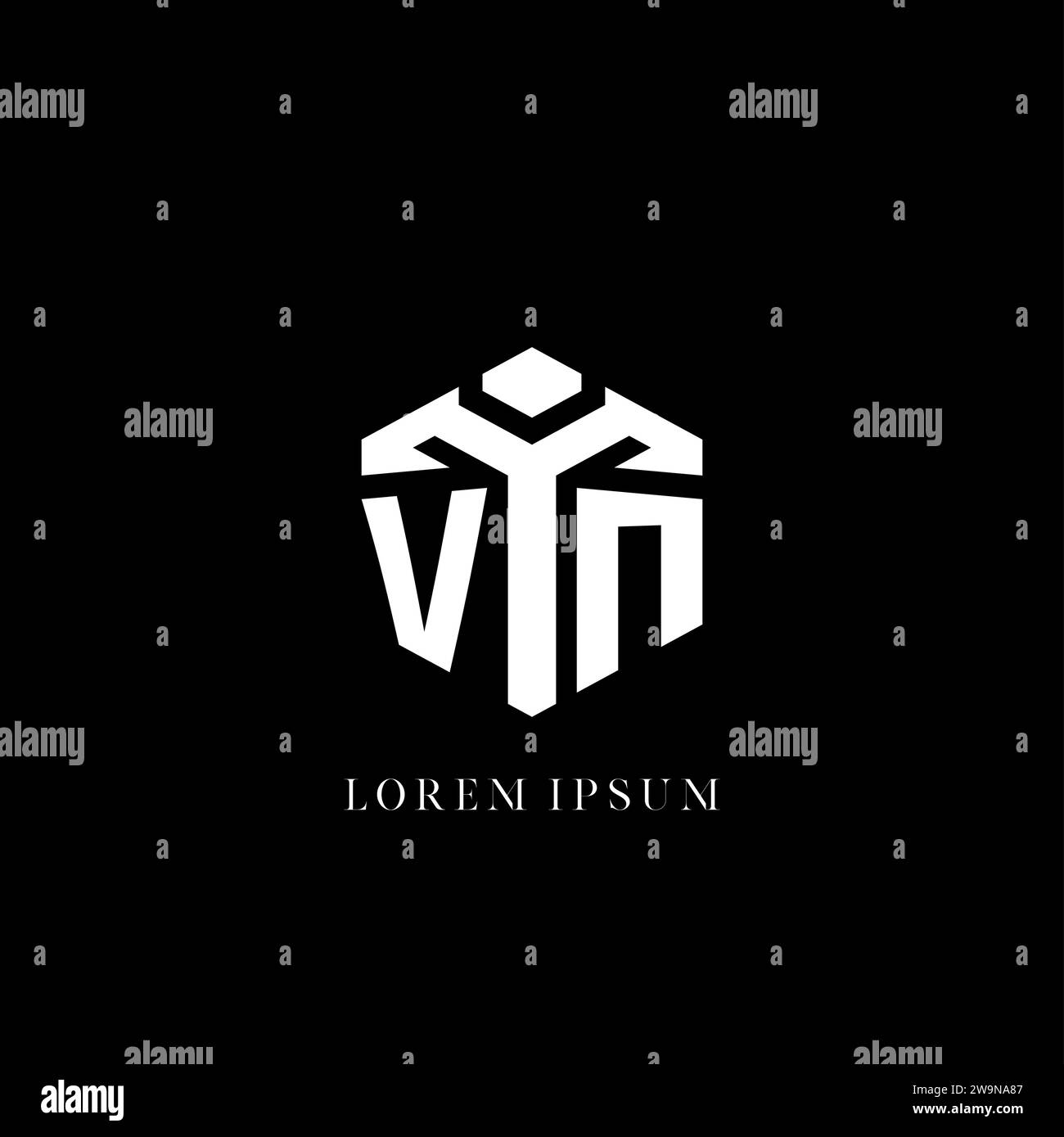 Initial VN logo hexagon shape geometric style vector graphic Stock ...
