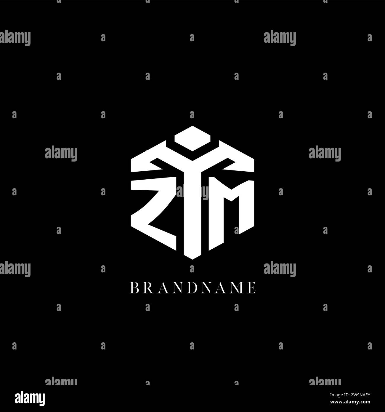 Initial ZM logo hexagon shape geometric style vector graphic Stock ...