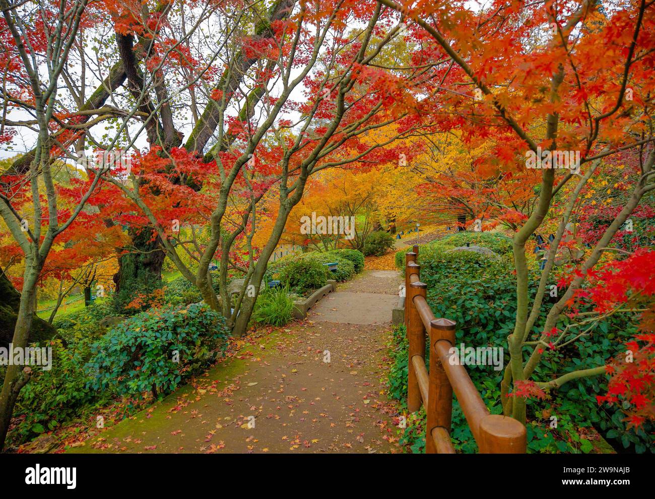 Rome (Italy) - The Botanical Garden in Trastevere is a lush university ...
