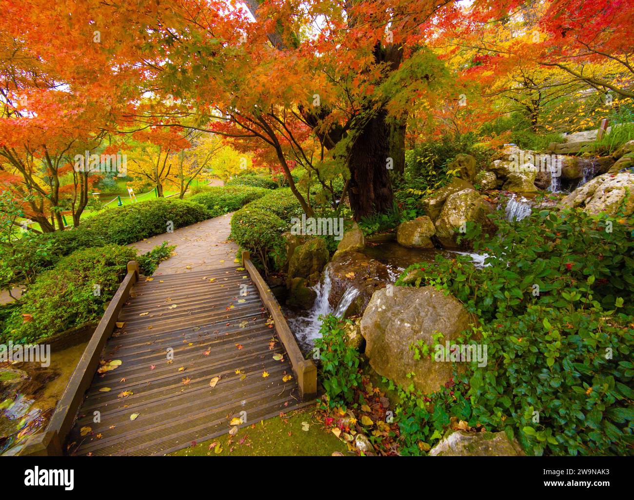 Rome (Italy) - The Botanical Garden in Trastevere is a lush university ...