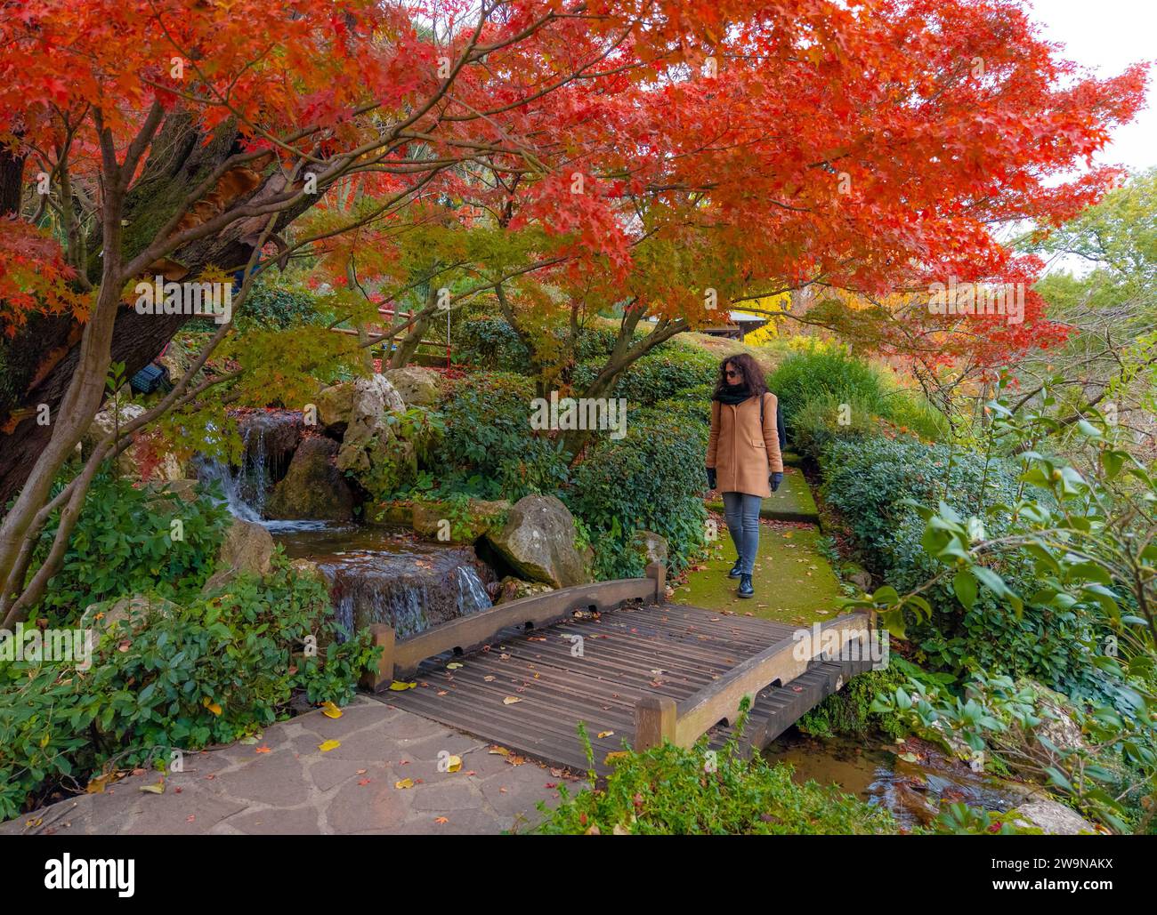 Rome (Italy) - The Botanical Garden in Trastevere is a lush university ...