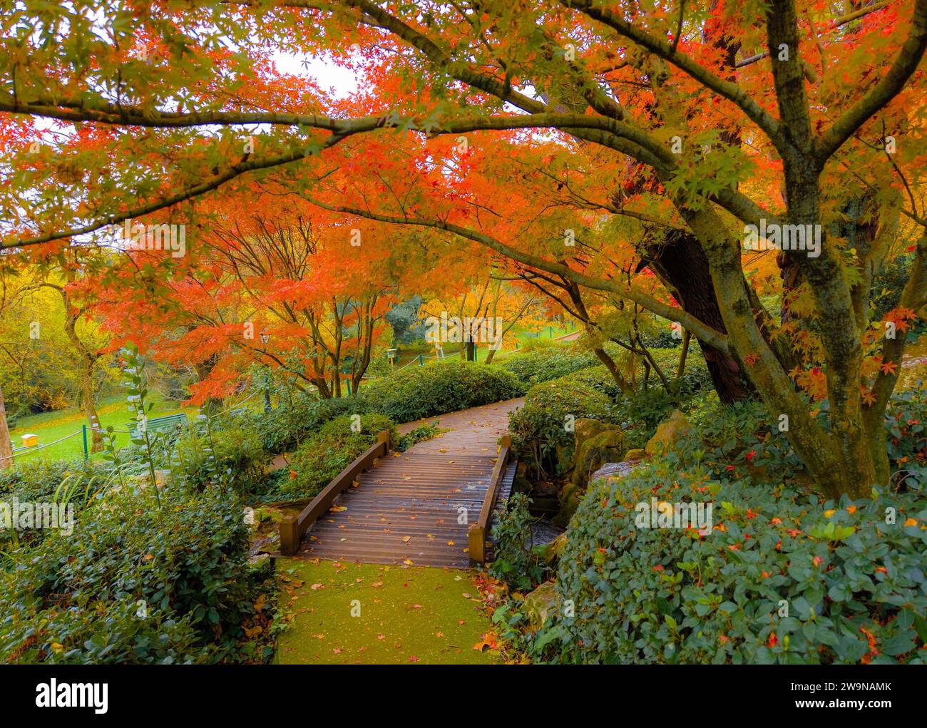 Rome (Italy) - The Botanical Garden in Trastevere is a lush university ...