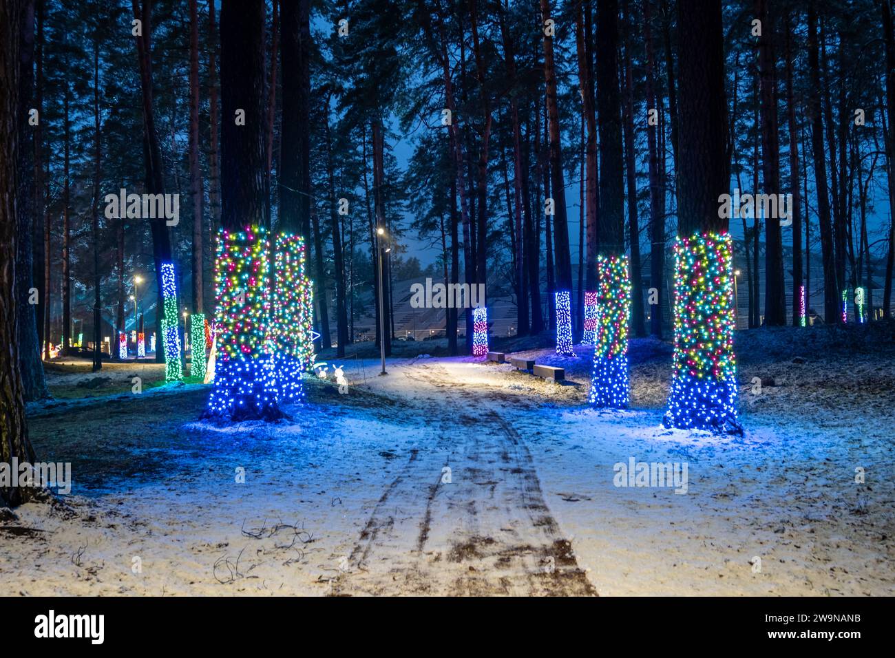 Step into a world where snow-kissed paths wind through an illuminated ...