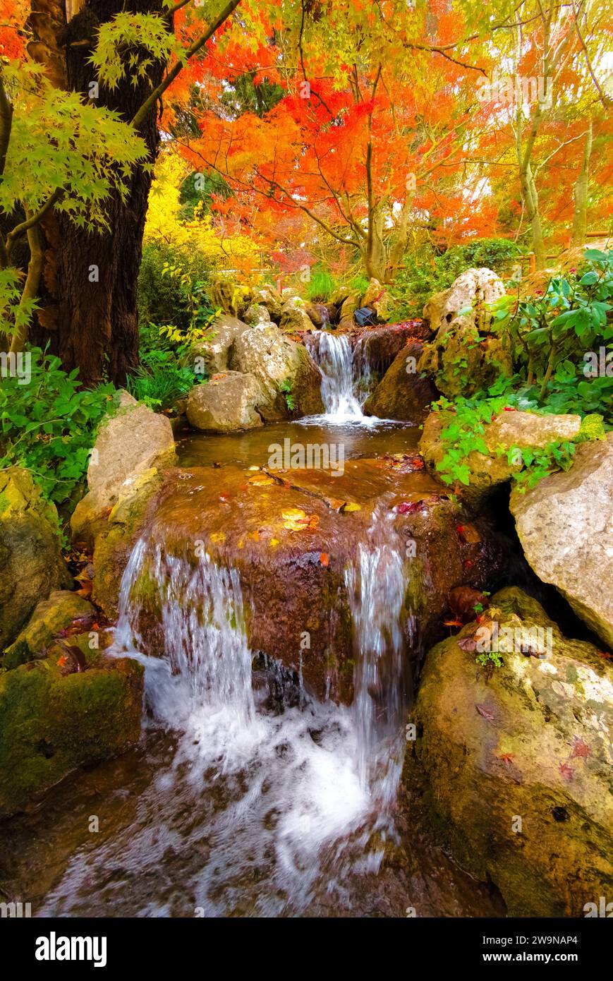 Rome (Italy) - The Botanical Garden in Trastevere is a lush university ...