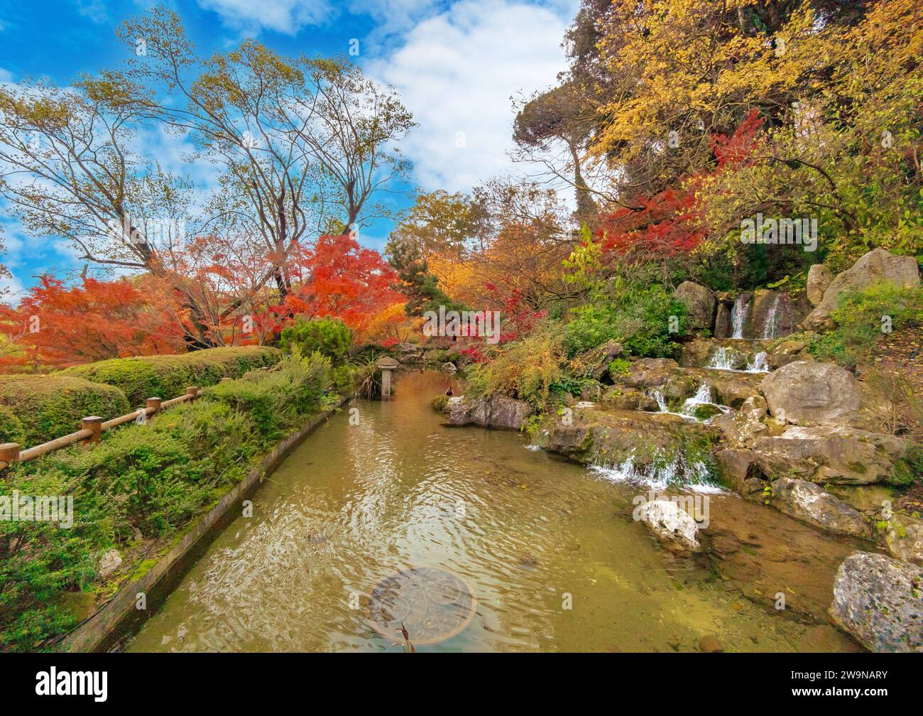Rome (Italy) - The Botanical Garden in Trastevere is a lush university ...