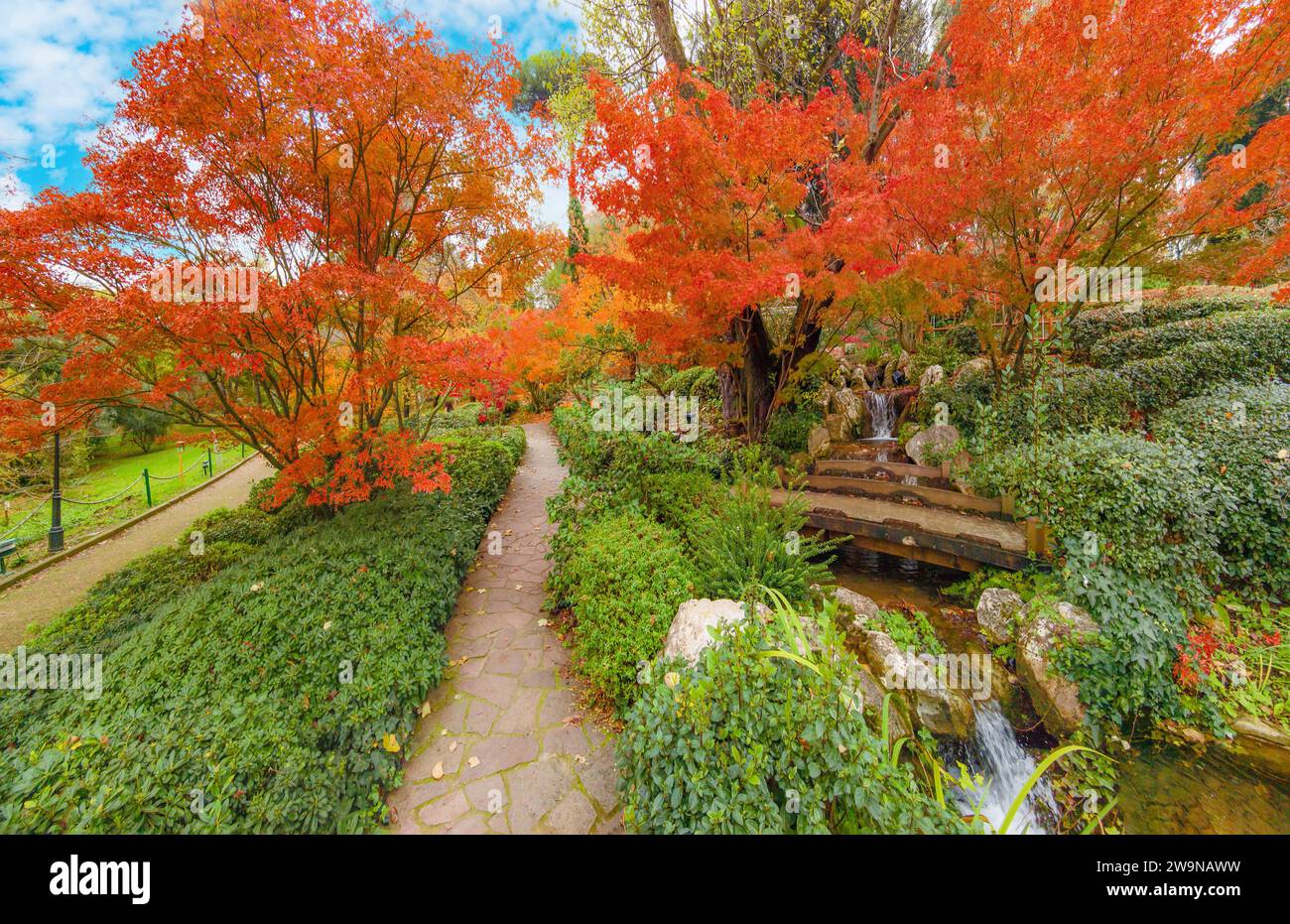 Rome (Italy) - The Botanical Garden in Trastevere is a lush university ...
