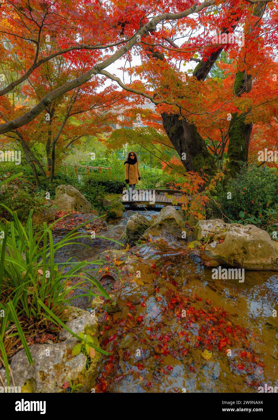 Rome (Italy) - The Botanical Garden in Trastevere is a lush university ...