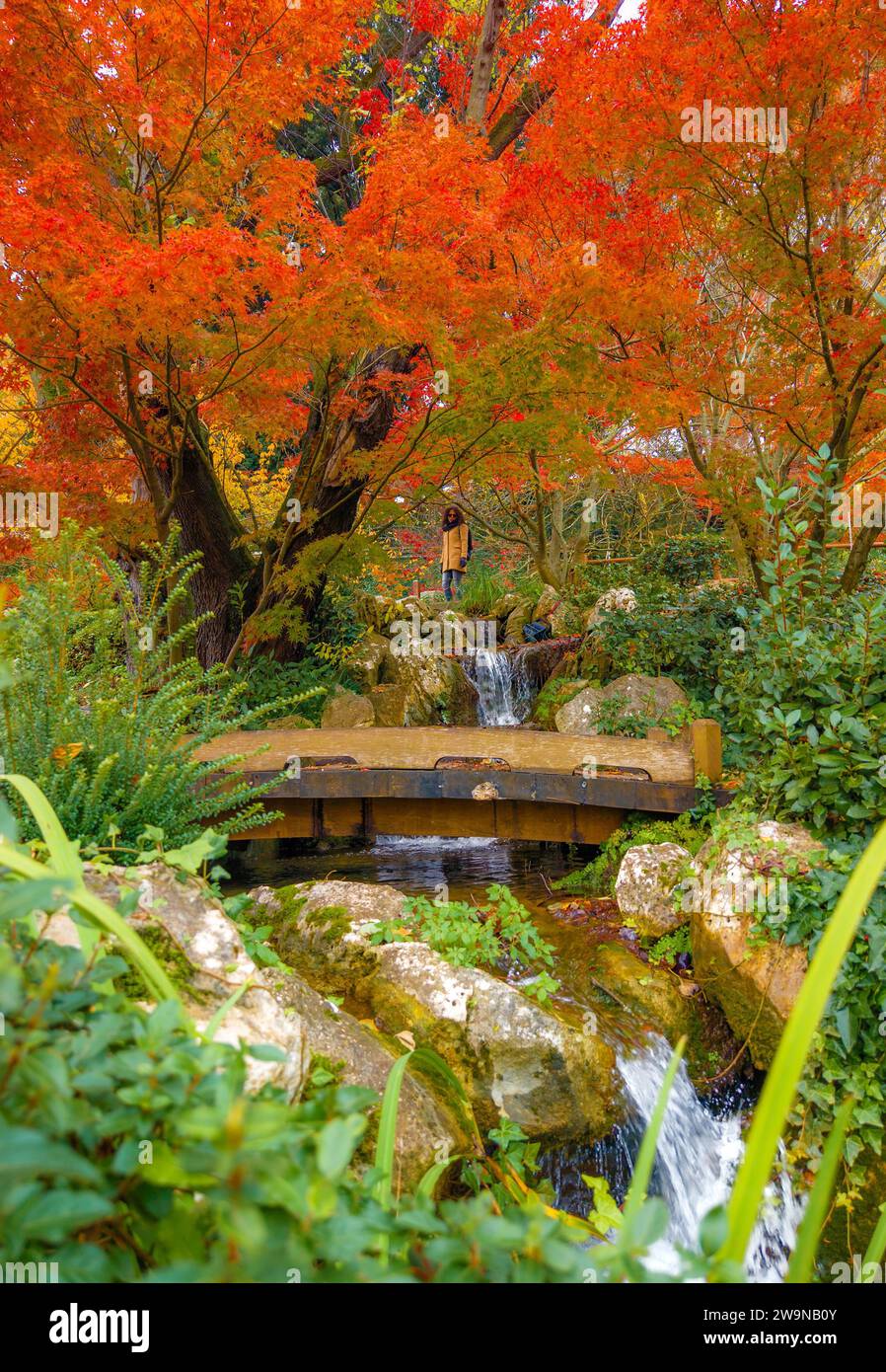 Rome (Italy) - The Botanical Garden in Trastevere is a lush university ...