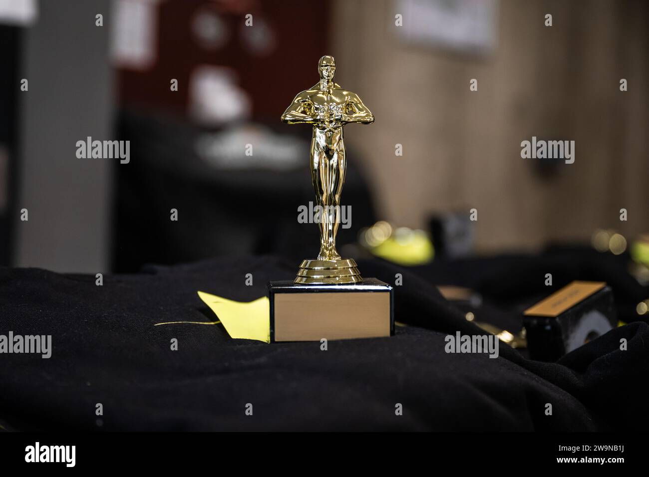 German Abitur Graduation Award sculptures preparations for surprise ...