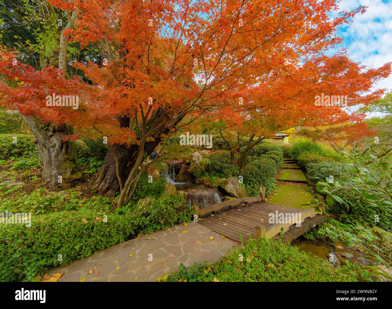 Rome (Italy) - The Botanical Garden in Trastevere is a lush university ...