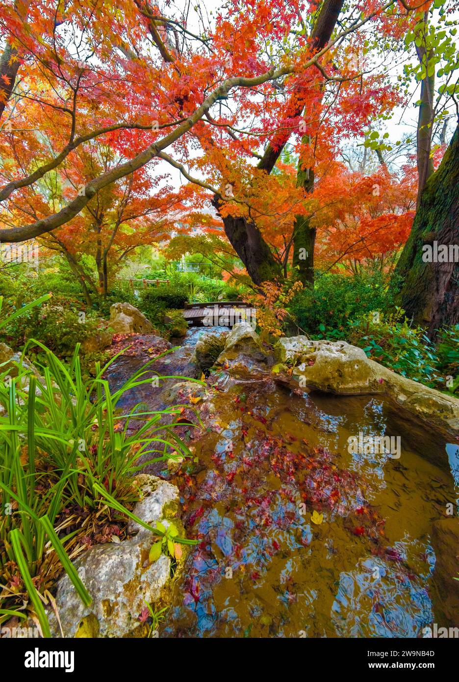 Rome (Italy) - The Botanical Garden in Trastevere is a lush university ...